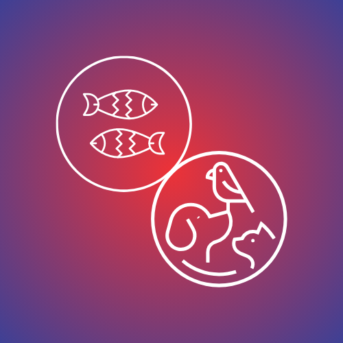 Nutrix - Personalized Nutrition to ensure animal well-being and the ...