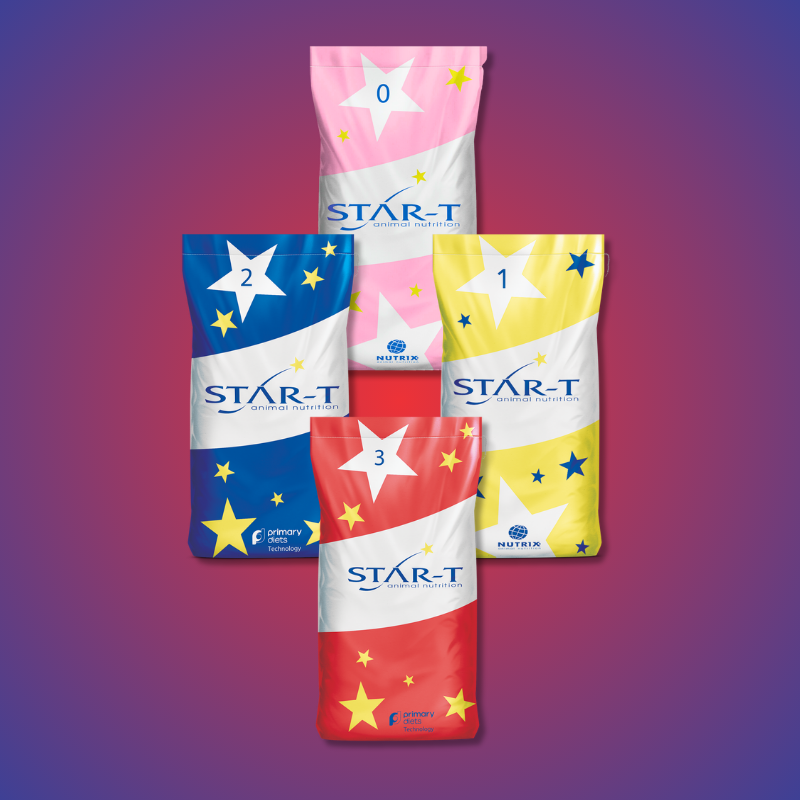 Nutrix - Personalized Nutrition to ensure animal well-being and the ...