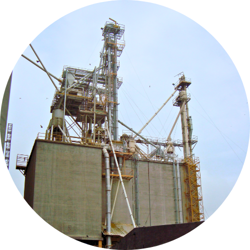 Nutrix - Personalized Nutrition to ensure animal well-being and the ...